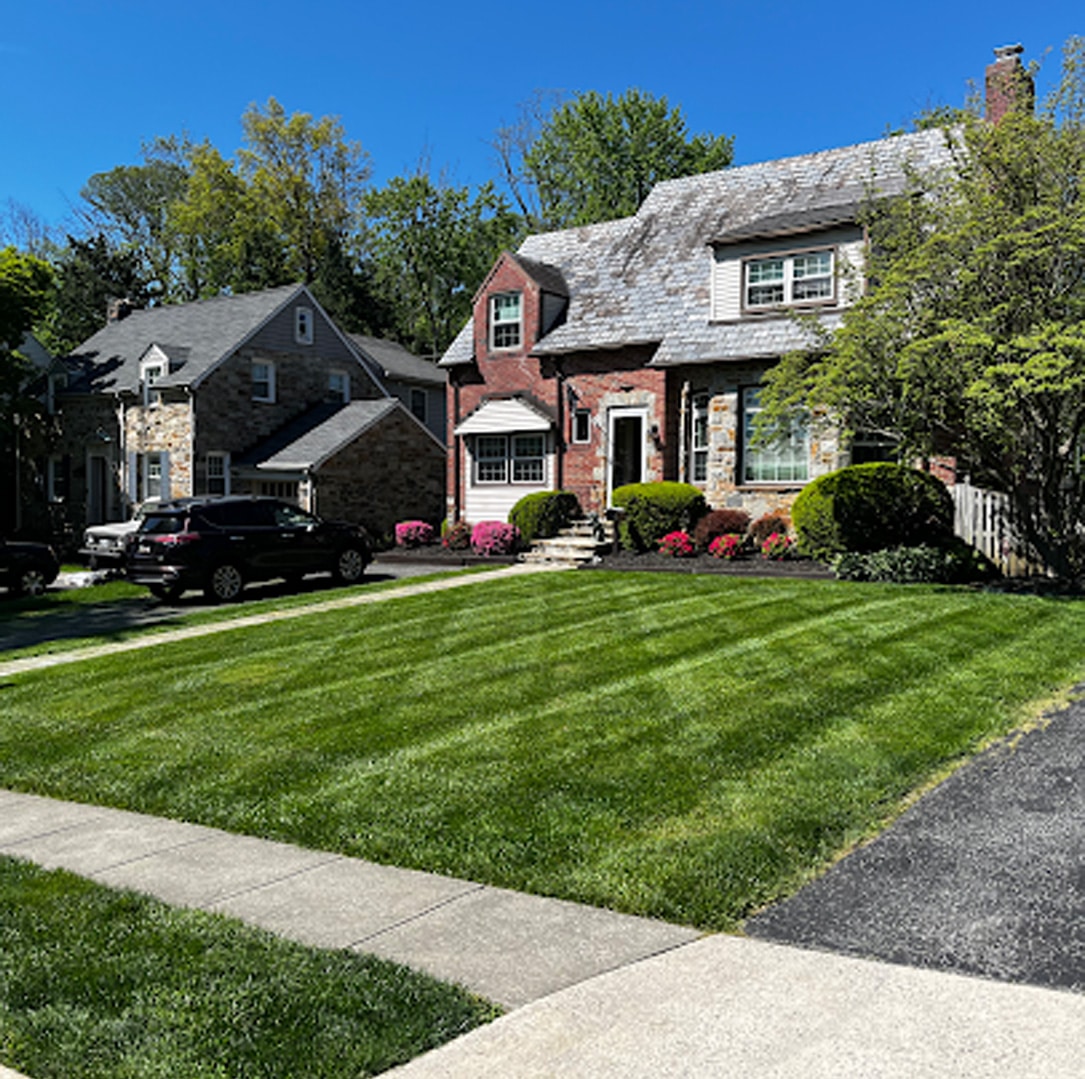 Services | Core Aeration Lawn Services