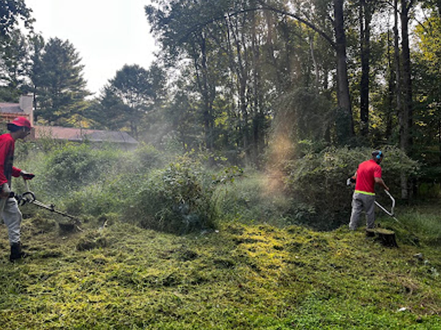 Contact Us | Core Aeration Lawn Services